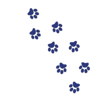 Free Pet Rescue Service | Roto-Rooter